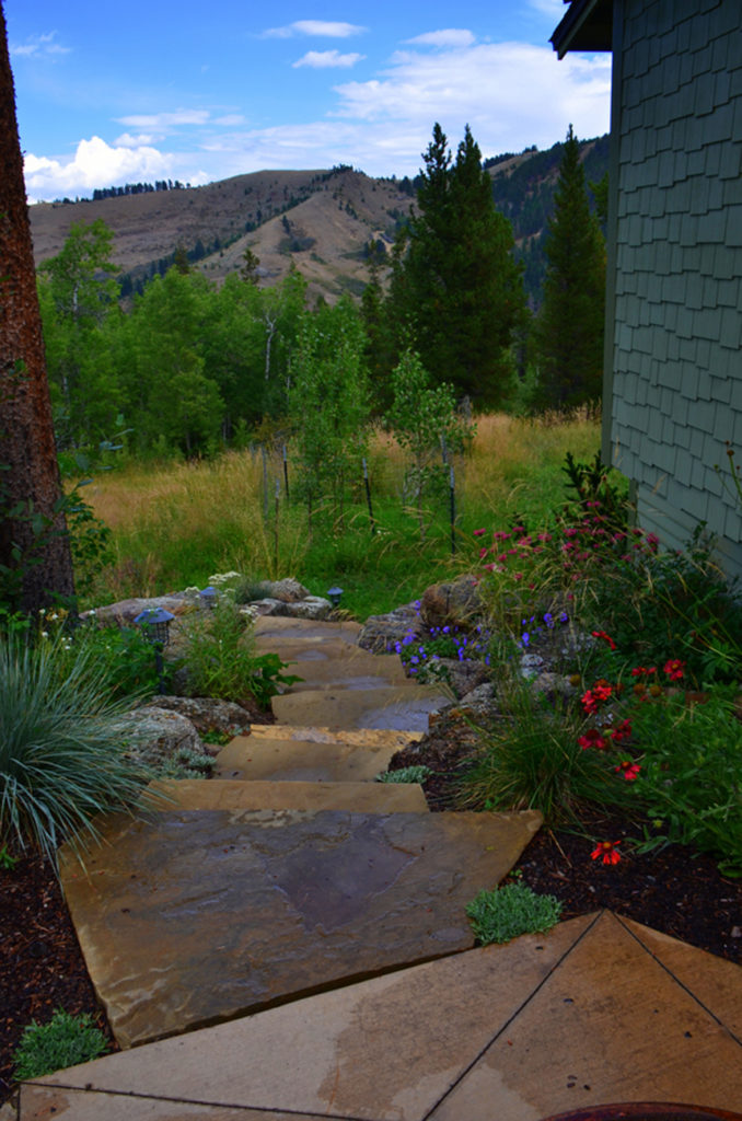 Montana Native Landscaping - Bozeman - Solstice Landscape